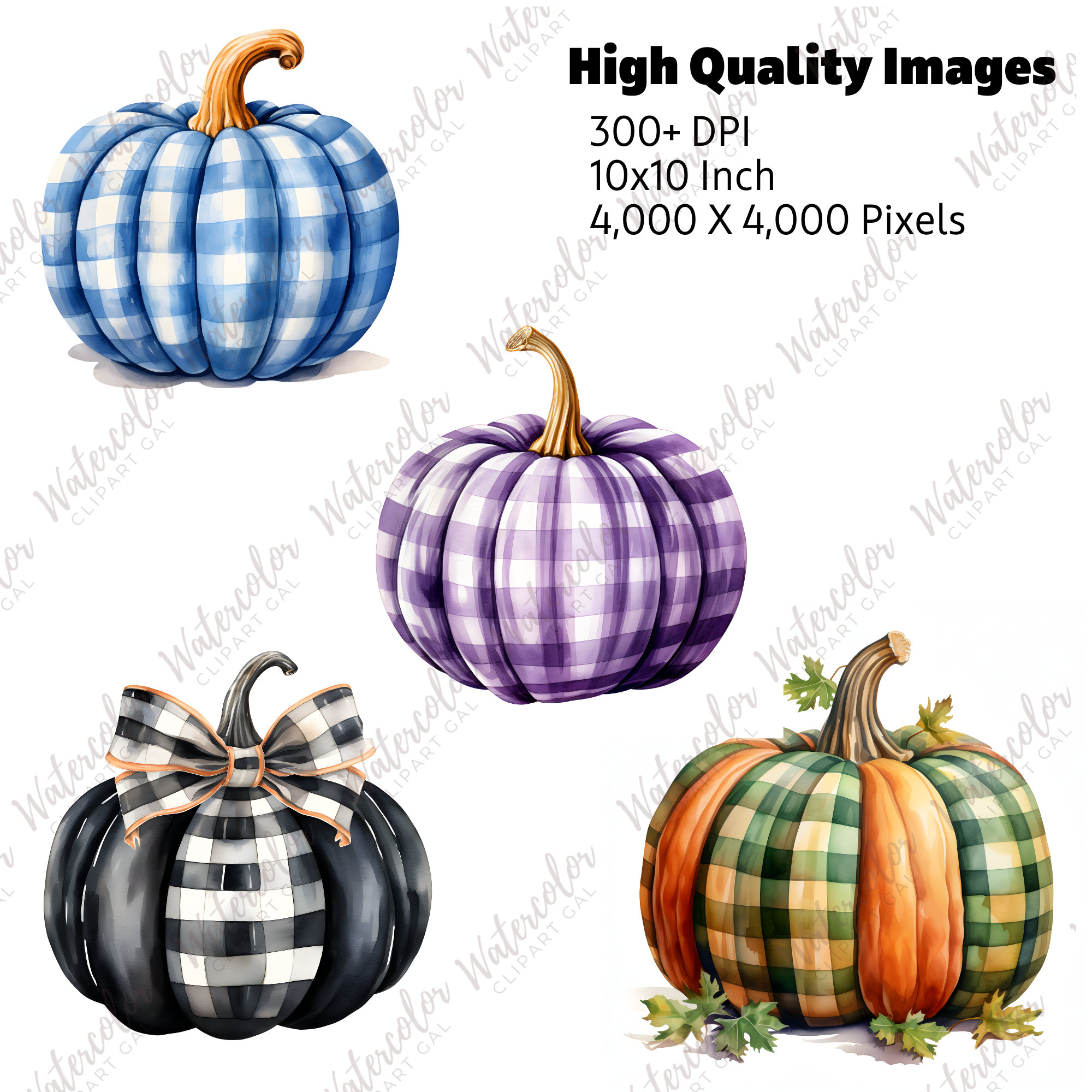 Plaid Pumpkins PNG Clipart Watercolor Bundle Cottagecore - Etsy