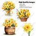 Daffodil Clipart PNG Watercolor Bundle Daffodil PNG Floral - Etsy