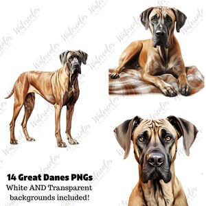 Great Dane Clipart Watercolor Bundle | Dog Portrait | Great Dane PNG ...
