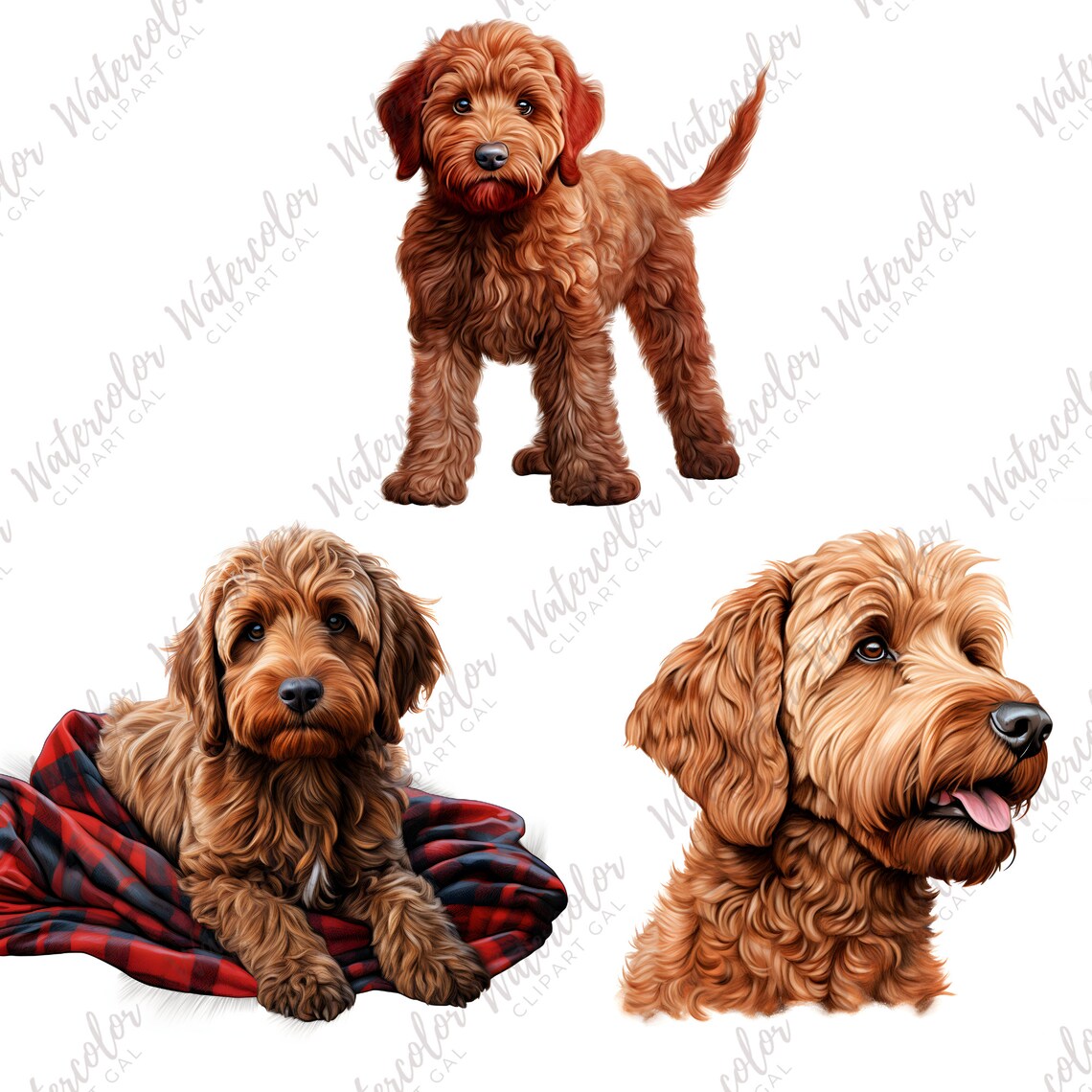 Red Labradoodle Clipart Watercolor Bundle Dog Portrait - Etsy