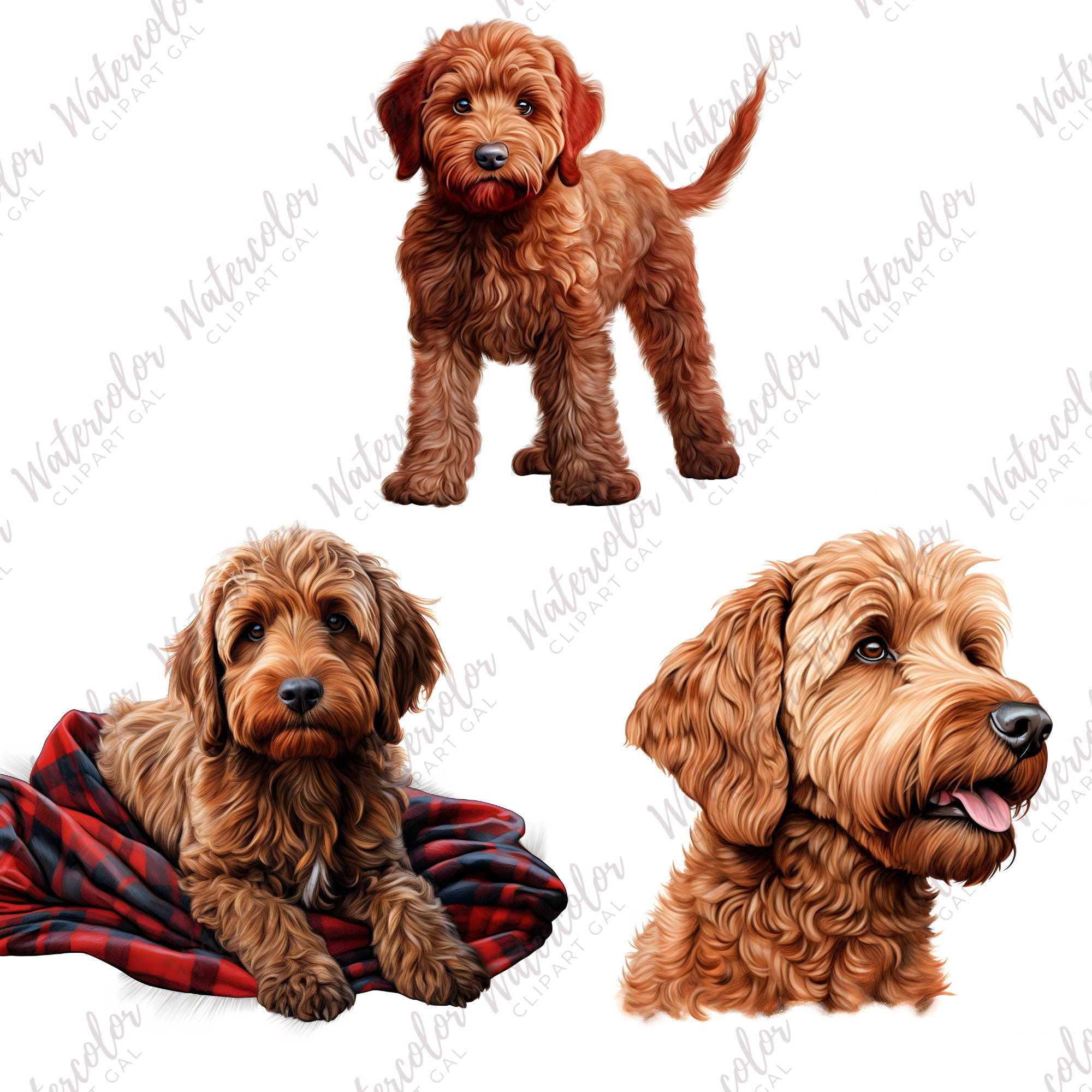 Red Labradoodle Clipart Watercolor Bundle Dog Portrait - Etsy