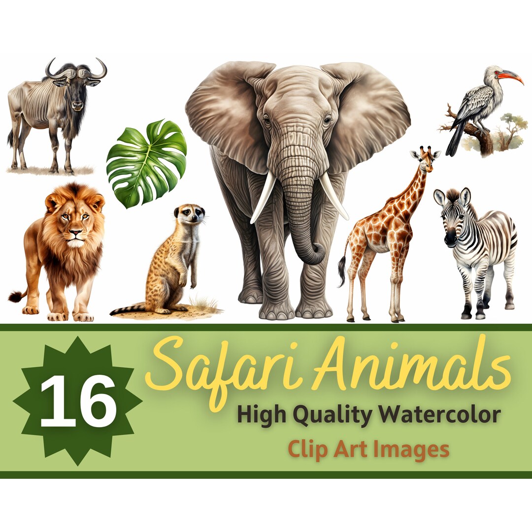 Safari Animal Clipart Watercolor Bundle | Safari Animal PNG | Safari ...