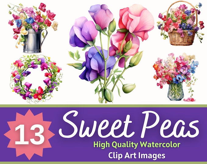 Sweet Pea Clipart PNG, Watercolor Flower Graphics, Instant Download ...