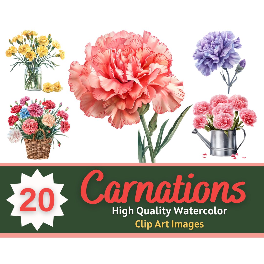 Carnation Clipart Watercolor Bundle | Carnation PNG | Flower Clipart ...