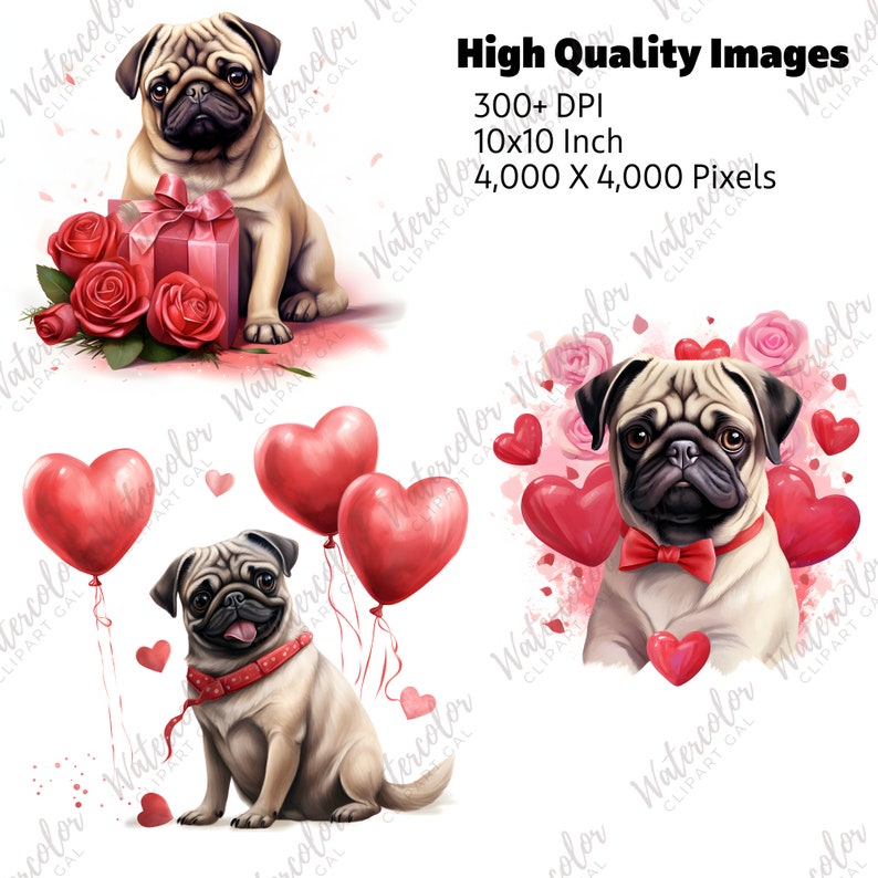 Valentines Day Pug Clipart Watercolor Bundle Valentine's Day Clipart ...