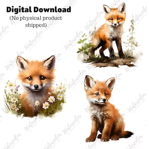 Baby Fox Clipart PNG Watercolor Bundle | Baby Animals Clipart ...
