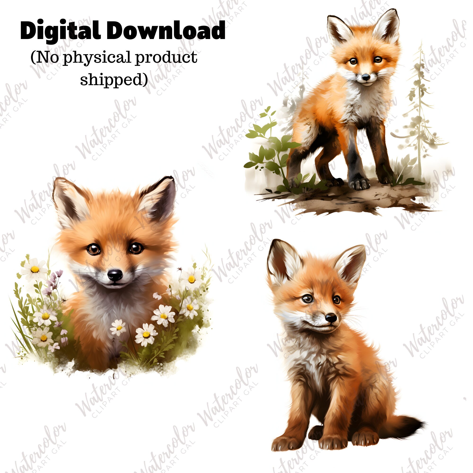 Baby Fox Clipart PNG Watercolor Bundle Baby Animals Clipart Woodland ...