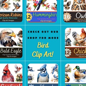 Chickadee Clipart Bundle | Chickadee PNG | Chickadee Watercolor Bird ...