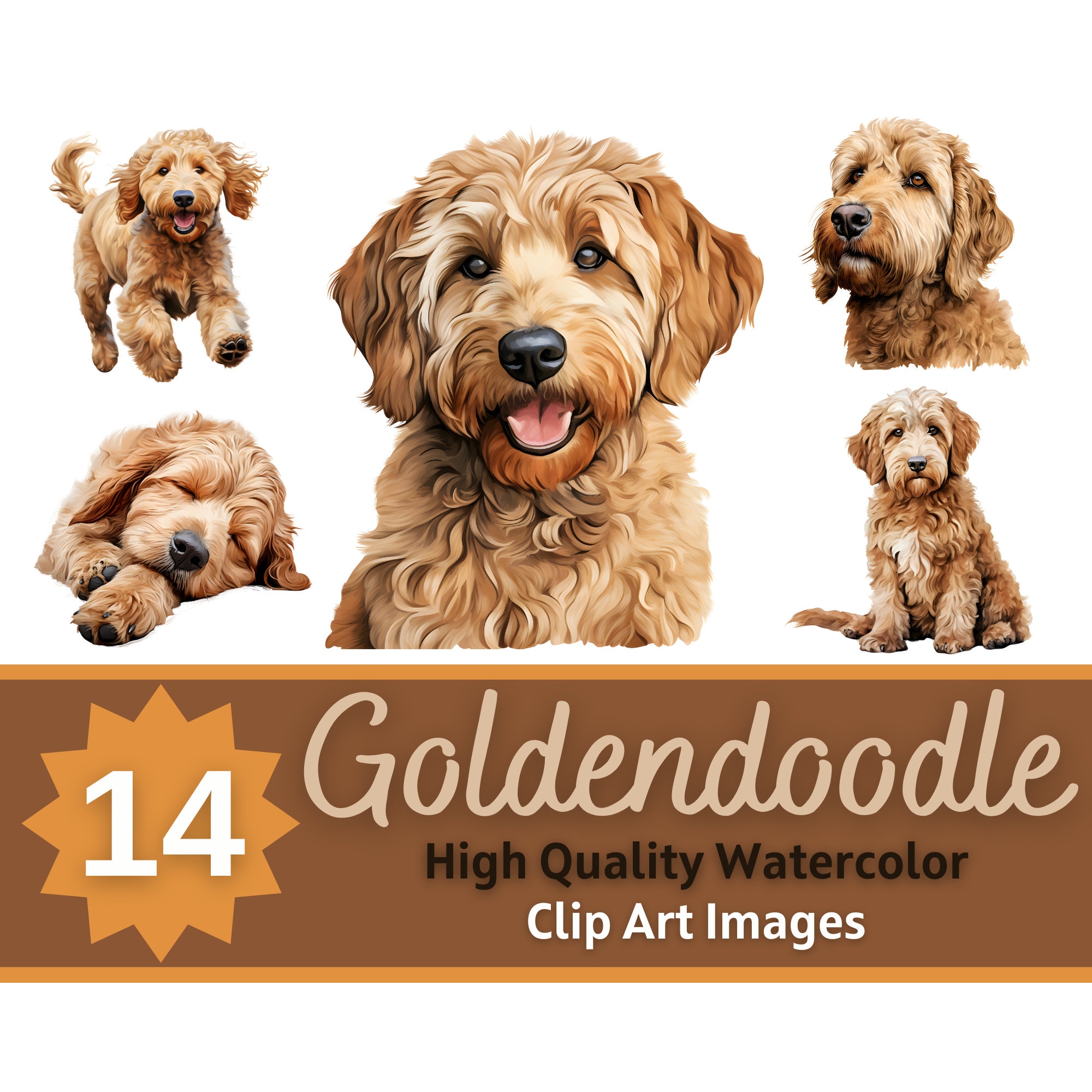 Goldendoodle Clipart Watercolor Bundle Dog Portrait Golden - Etsy