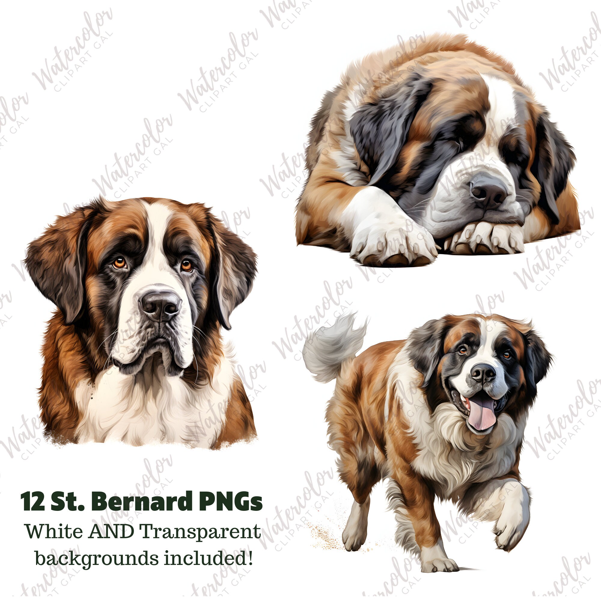 Saint Bernard Dog Clipart Watercolor Bundle | Dog Portrait | St Bernard ...