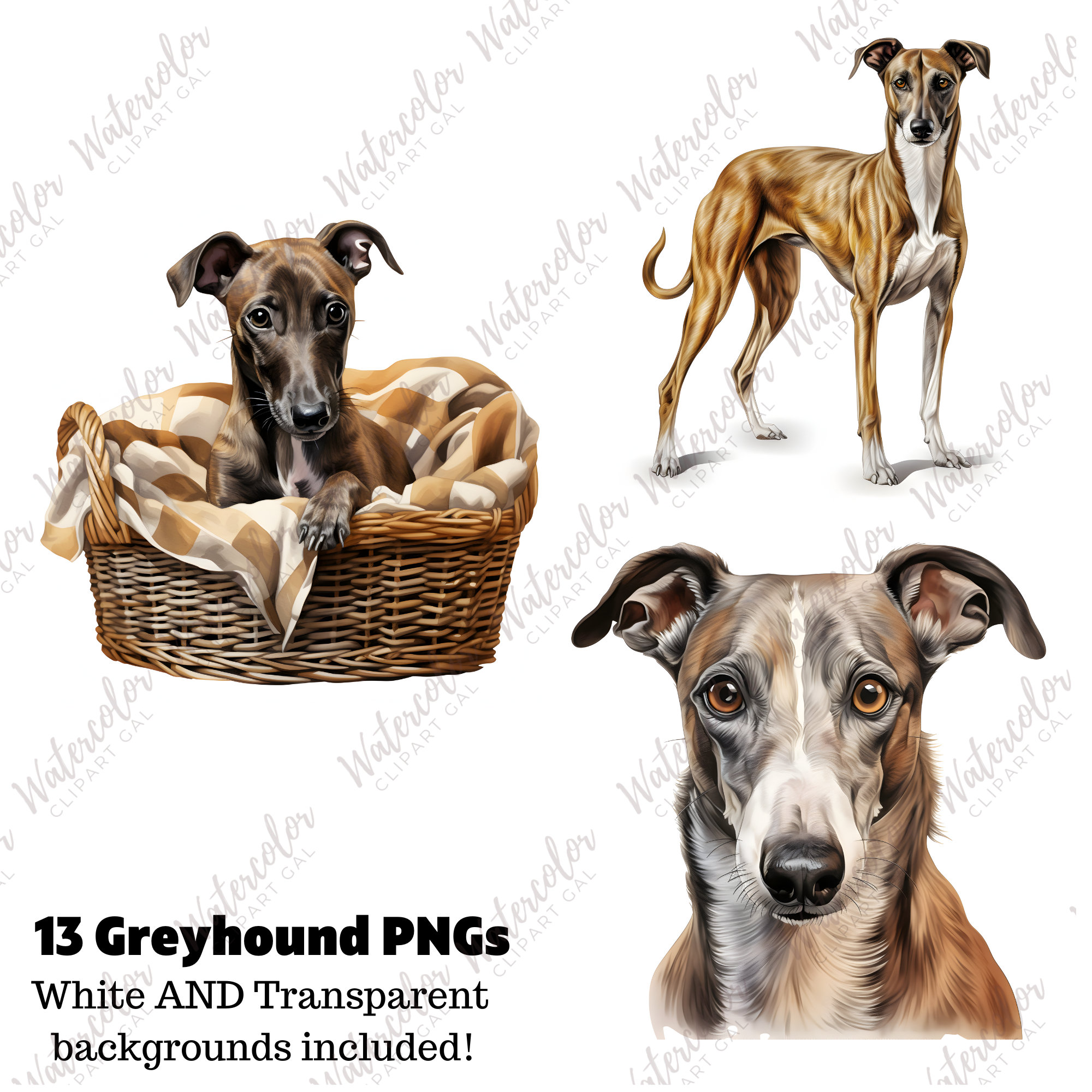 Greyhound Clipart Watercolor Bundle Dog Portrait Greyhound - Etsy