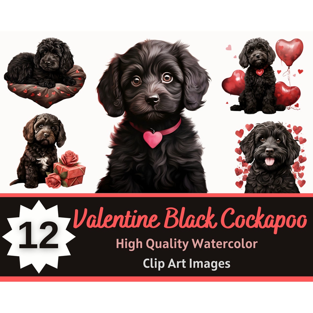 Valentines Black Cockapoo Clipart Watercolor Bundle | Valentines Day ...