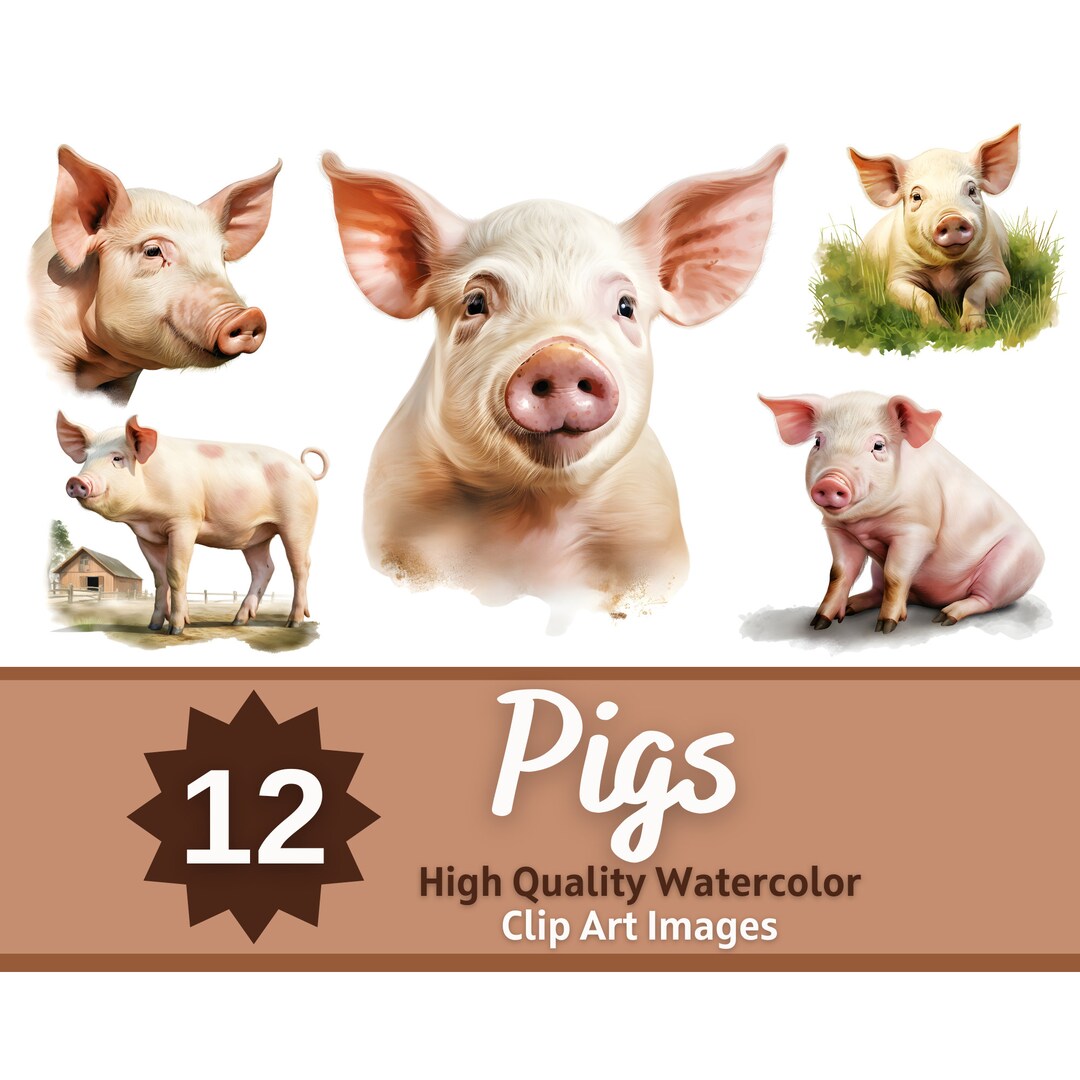 Pig Clipart Watercolor Bundle | Cute Animal Clipart | Barnyard Birthday ...
