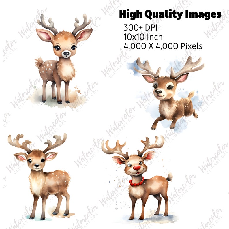 Santa's Reindeer Clipart PNG Watercolor Bundle Cute Reindeer Clipart ...
