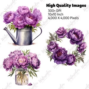 Purple Peony Clipart PNG Watercolor Bundle | Peonies PNG | Floral ...