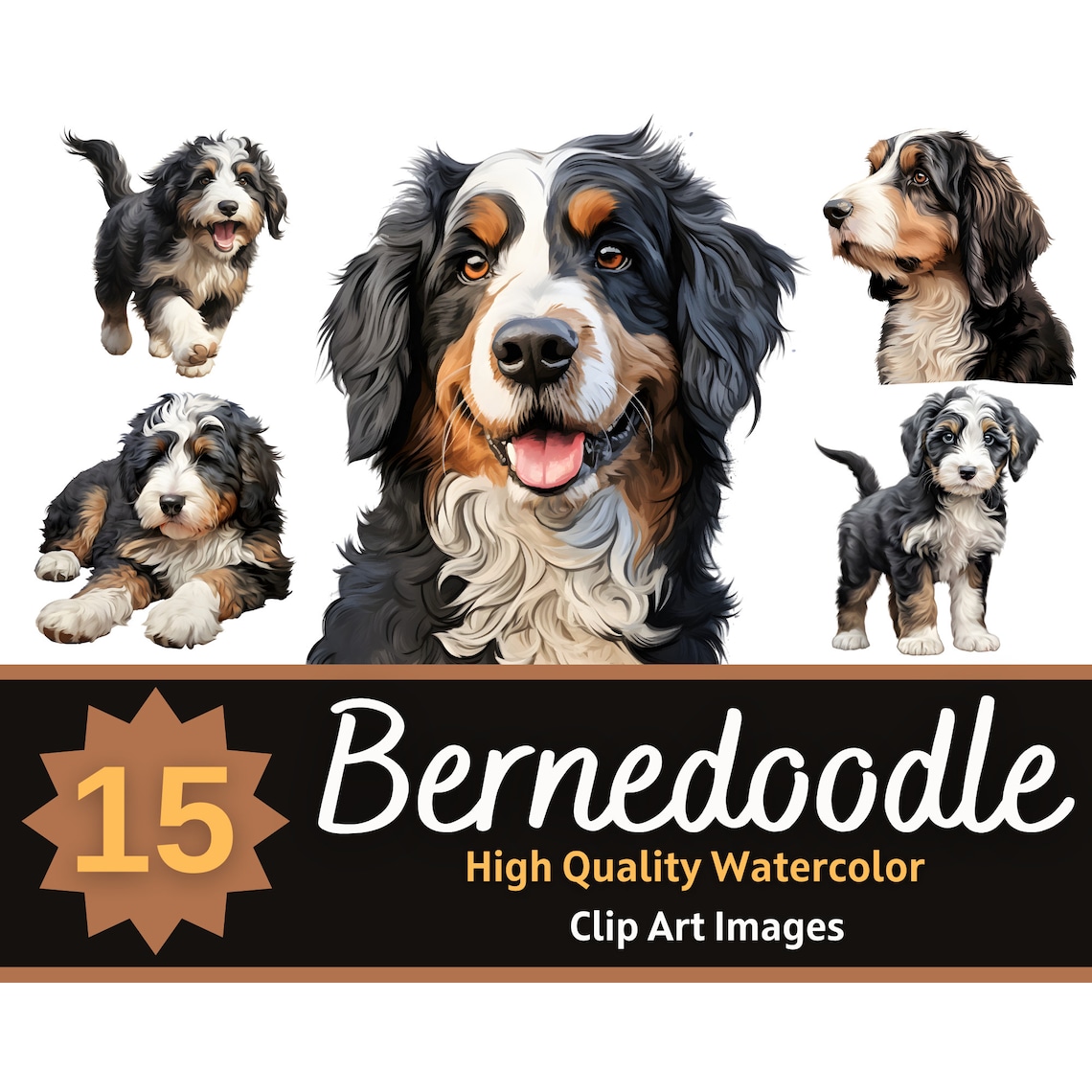 Bernedoodle Clipart Watercolor Bundle Dog Portrait Bernedoodle PNG Pet ...