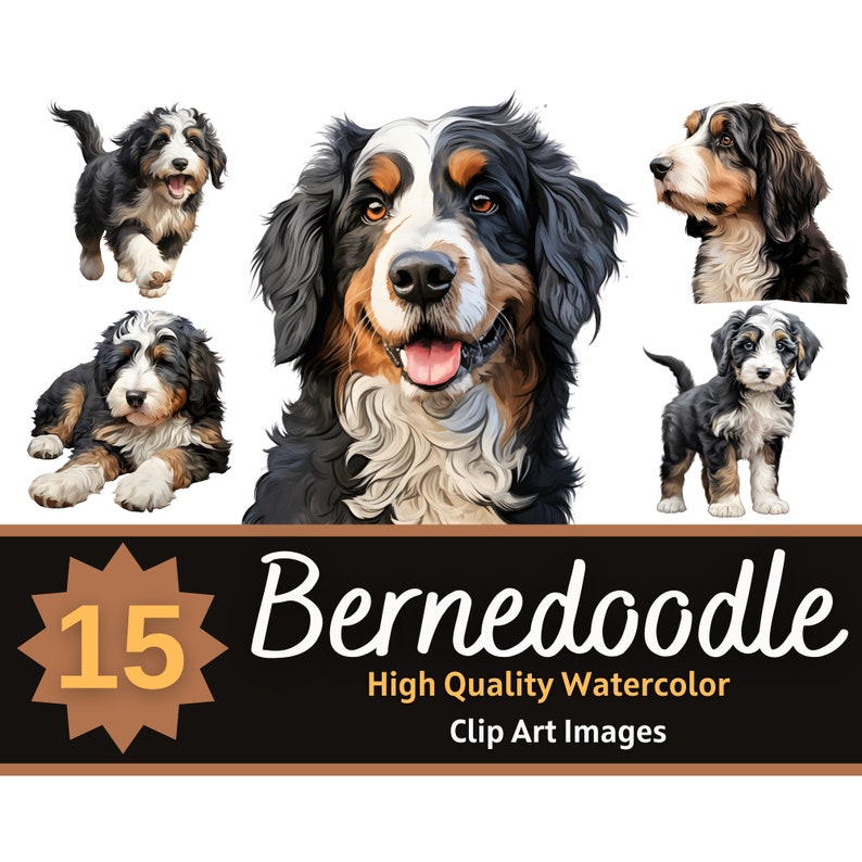 Bernedoodle Clipart Watercolor Bundle | Dog Portrait | Bernedoodle PNG ...