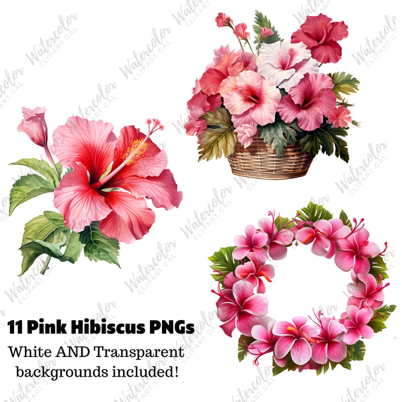 Pink Hibiscus Flower Clipart PNG Watercolor Bundle Hibiscus - Etsy