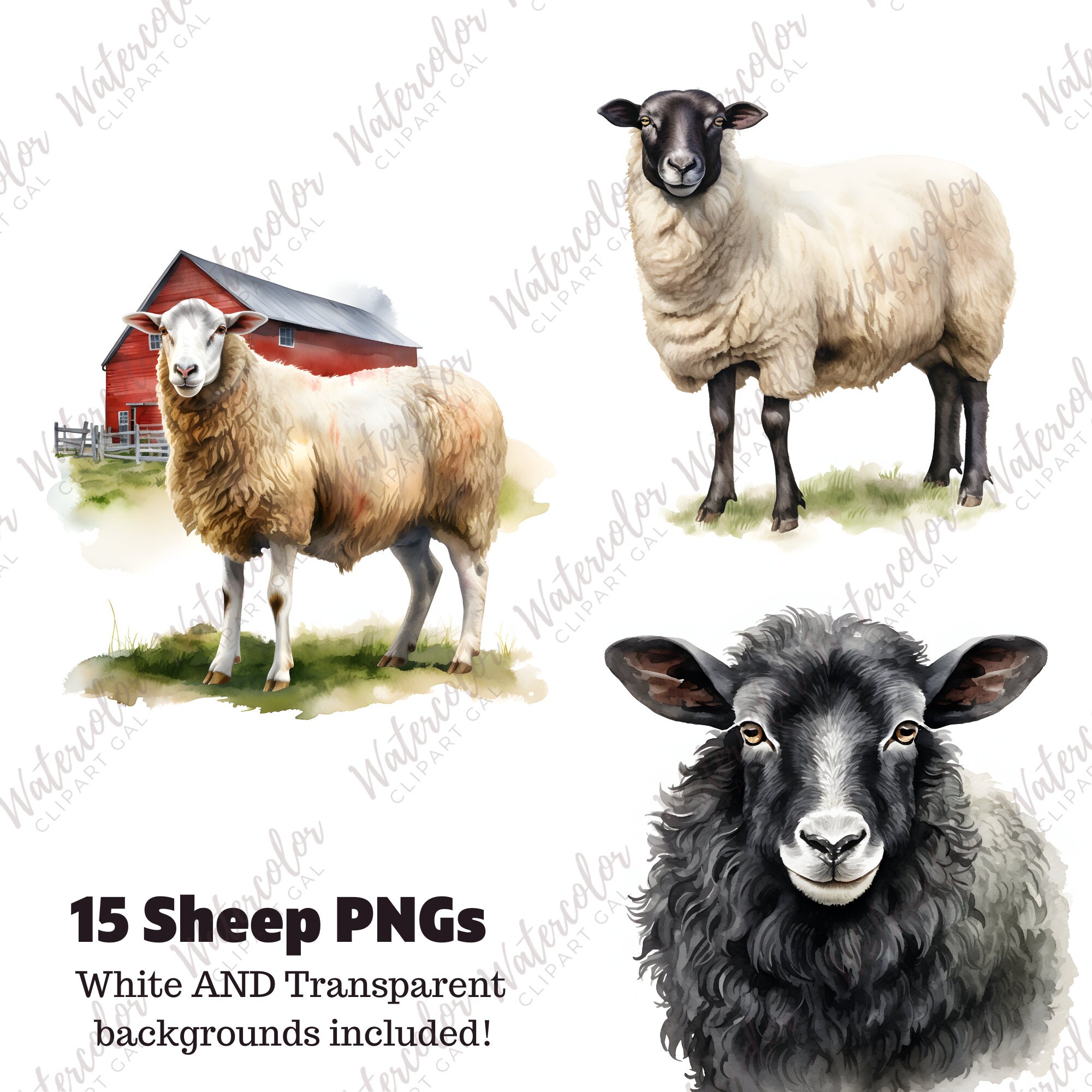Sheep Clipart Watercolor Bundle Cute Animal Clipart Barnyard Birthday ...