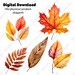 Autumn Leaves PNG Watercolor Bundle | Fall Leaves Clipart | Junk ...