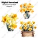 Daffodil Clipart PNG Watercolor Bundle Daffodil PNG Floral - Etsy
