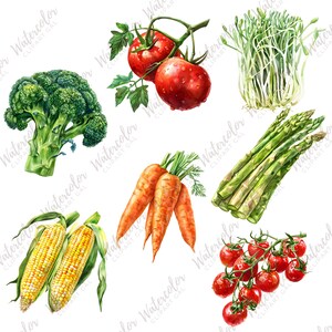 Vegetable Clipart Watercolor Bundle | Vegetable Plant PNG | Food ...