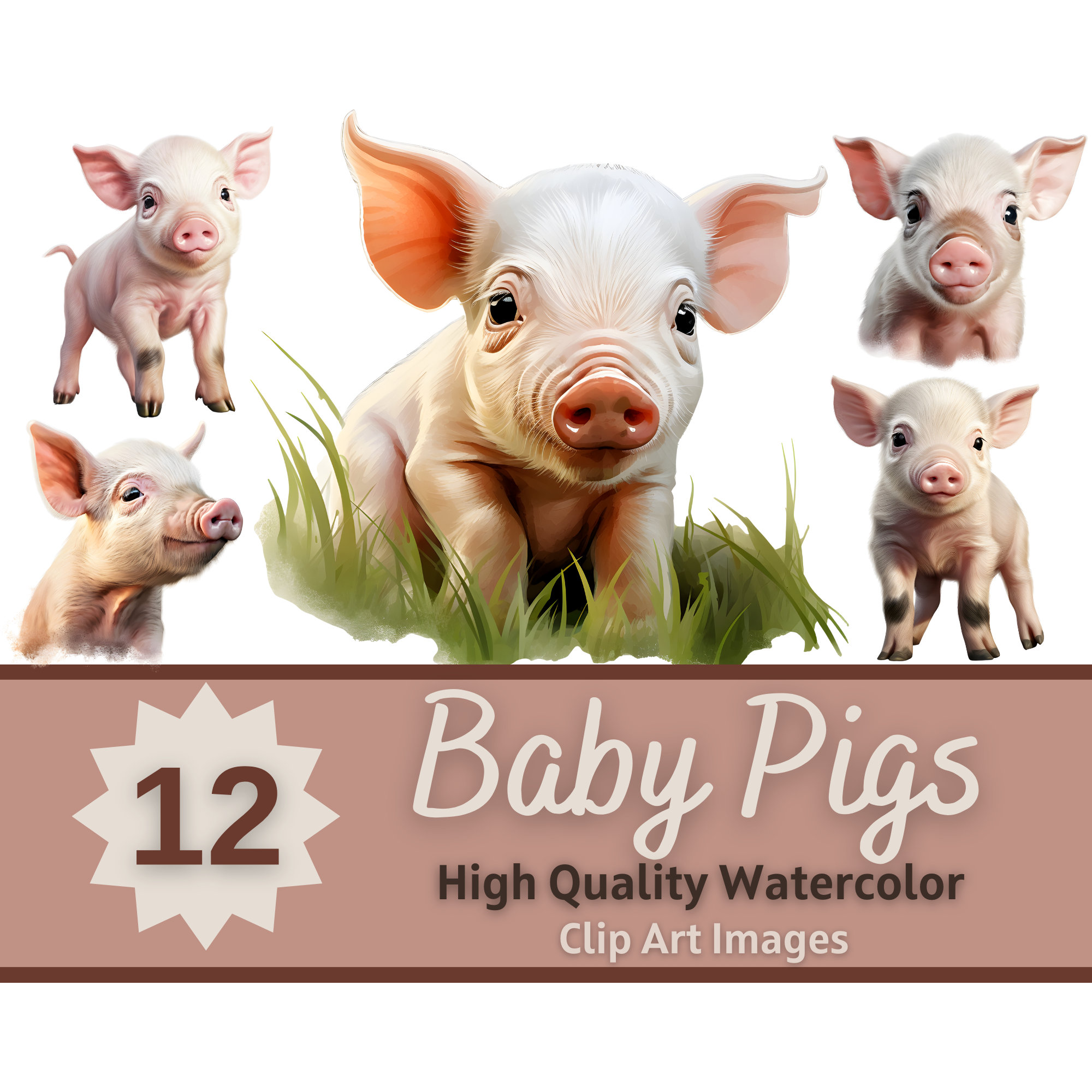 Baby Pig Clipart Watercolor Bundle Baby Pig PNG Baby Animals Clipart ...