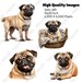 Pug Clipart Watercolor Bundle | Dog Portrait | Pugs PNG | Dog Lover Art ...