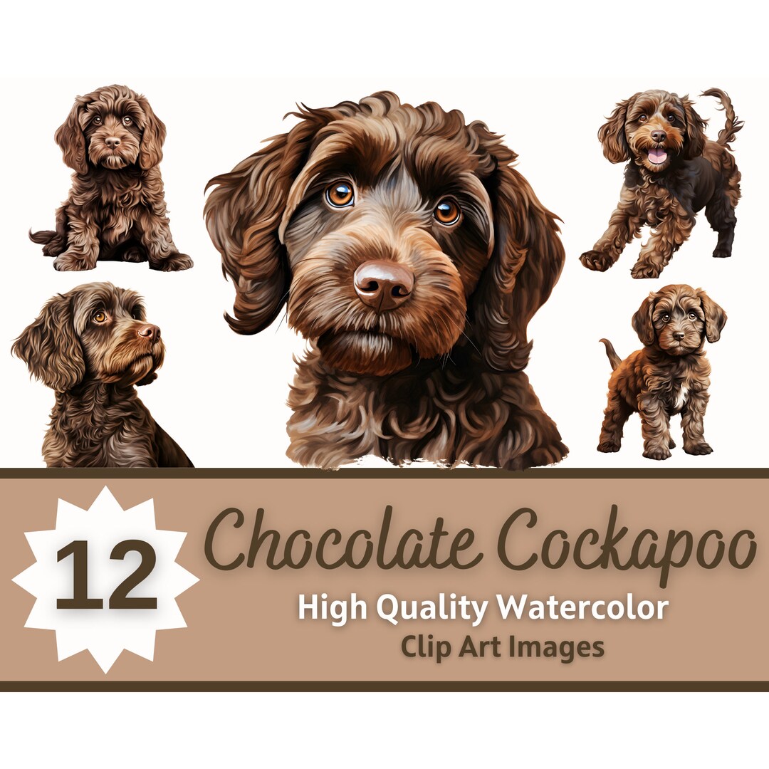 Chocolate Cockapoo Clipart Watercolor Bundle | Dog Portrait | Chocolate ...