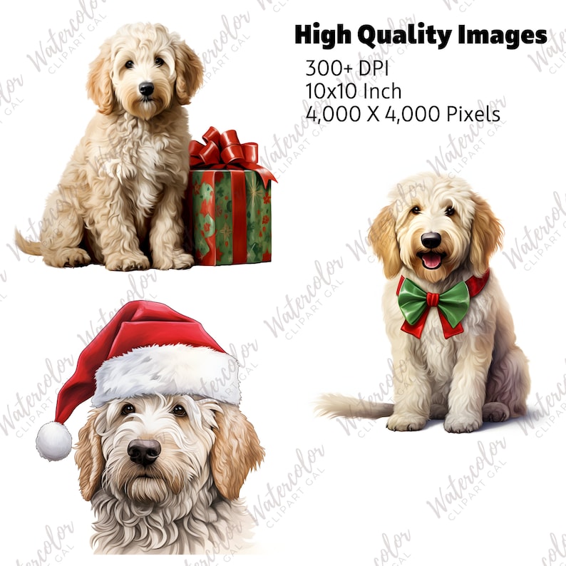 Christmas White Goldendoodle Watercolor Bundle | Christmas Dog Clipart ...
