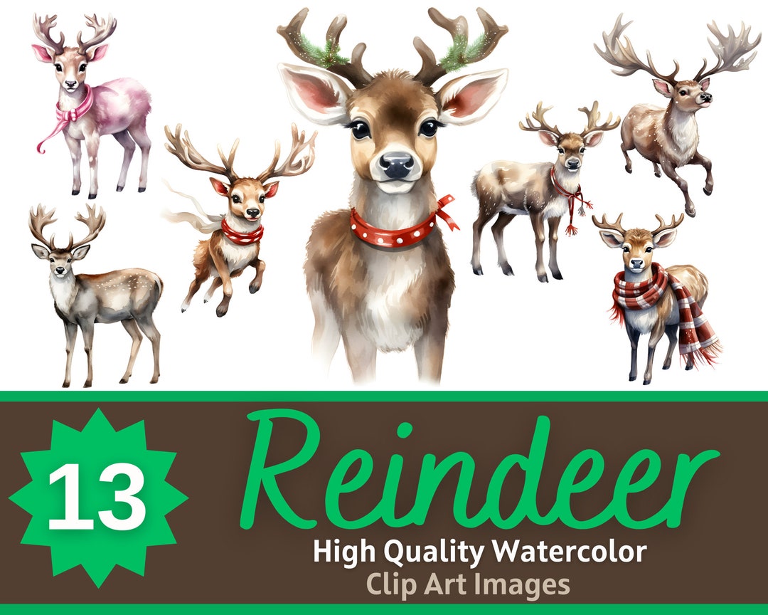 Santa's Reindeer Clipart PNG Watercolor Bundle Christmas - Etsy