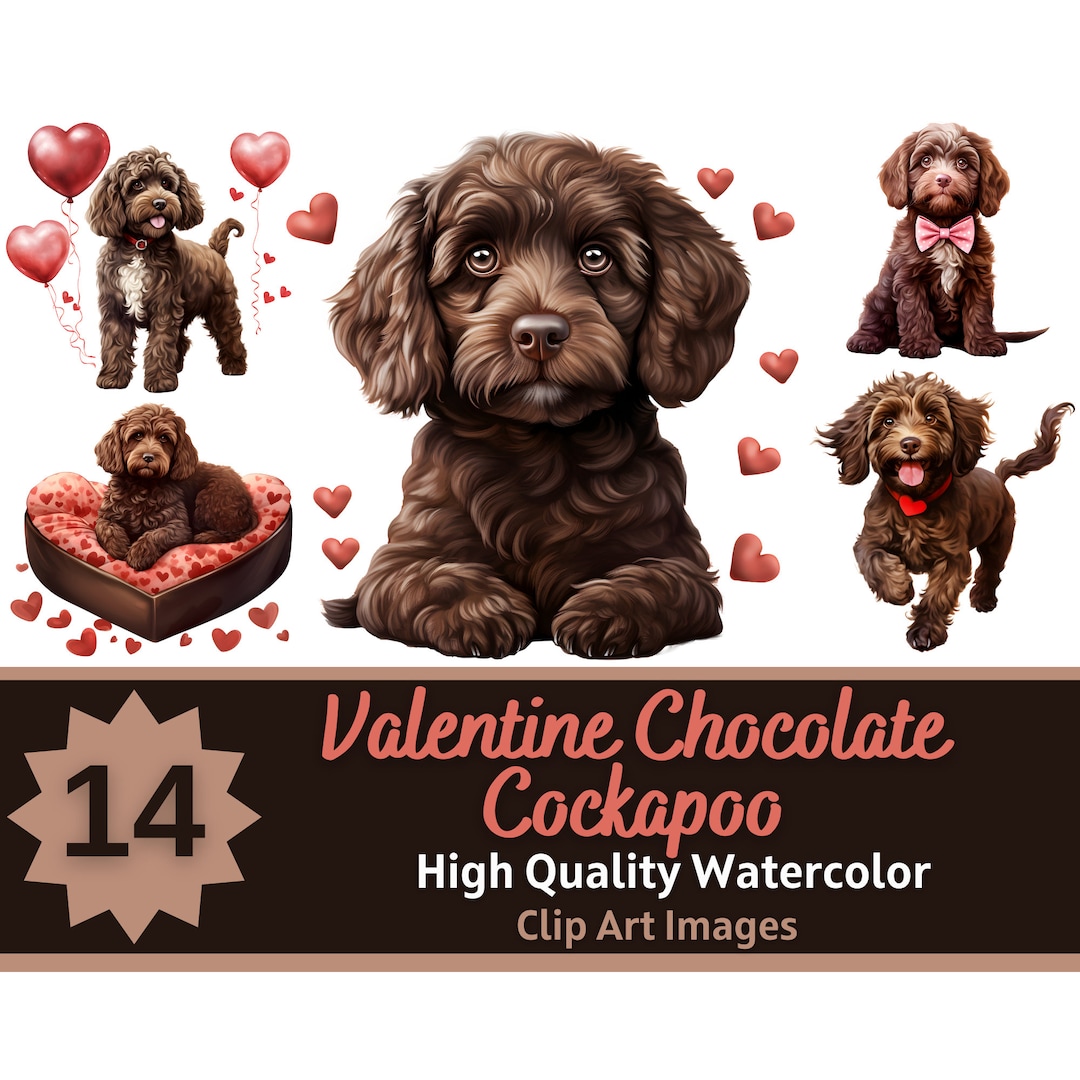 Valentines Day Chocolate Cockapoo Clipart Watercolor Bundle | Valentine ...