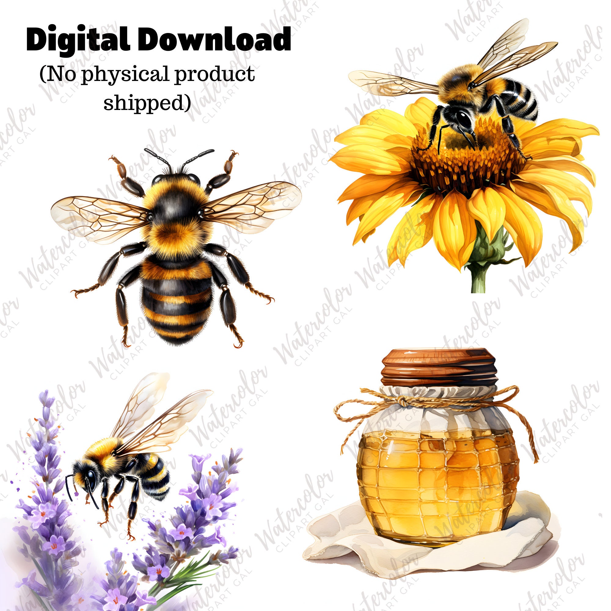 Honeybee Clipart PNG Watercolor Bundle Bumblebee Clipart Insect Clipart ...