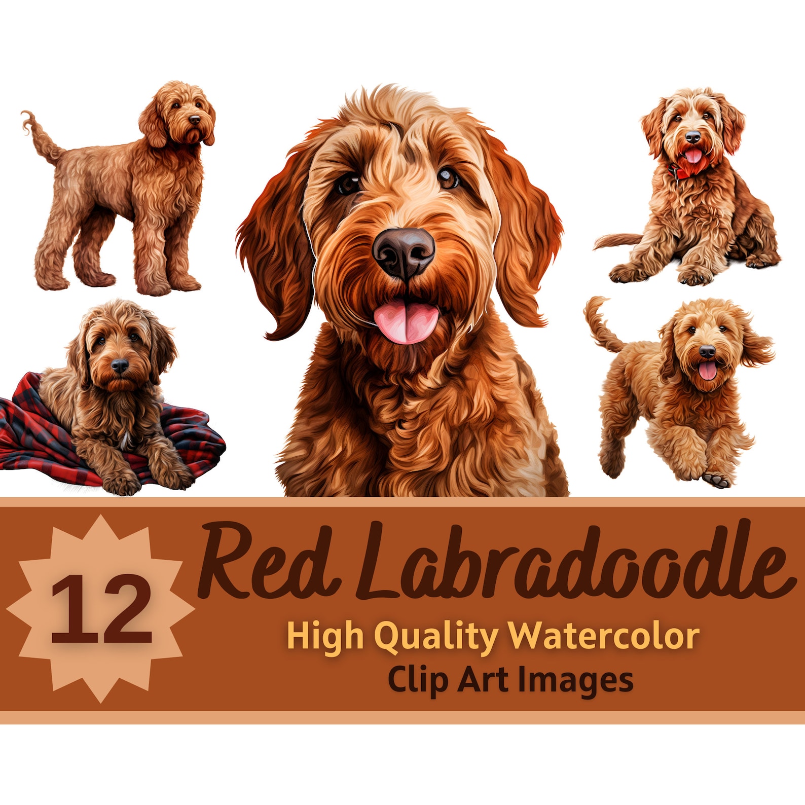 Red Labradoodle Clipart Watercolor Bundle Dog Portrait - Etsy
