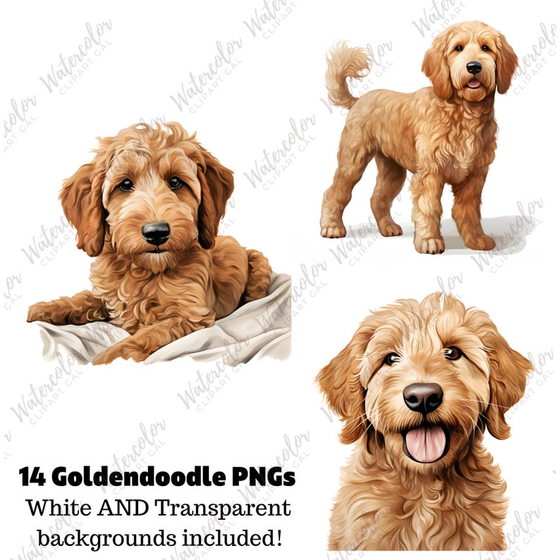Goldendoodle Clipart Watercolor Bundle Dog Portrait Golden - Etsy