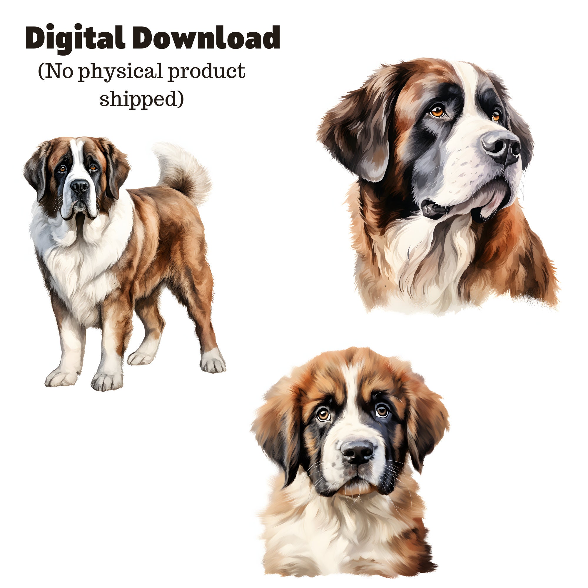 Saint Bernard Dog Clipart Watercolor Bundle | Dog Portrait | St Bernard ...