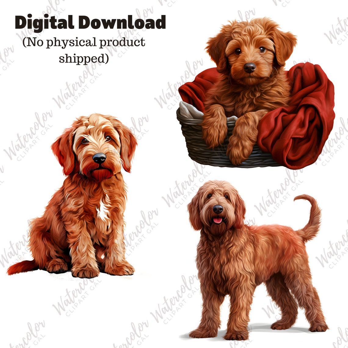 Red Labradoodle Clipart Watercolor Bundle Dog Portrait - Etsy