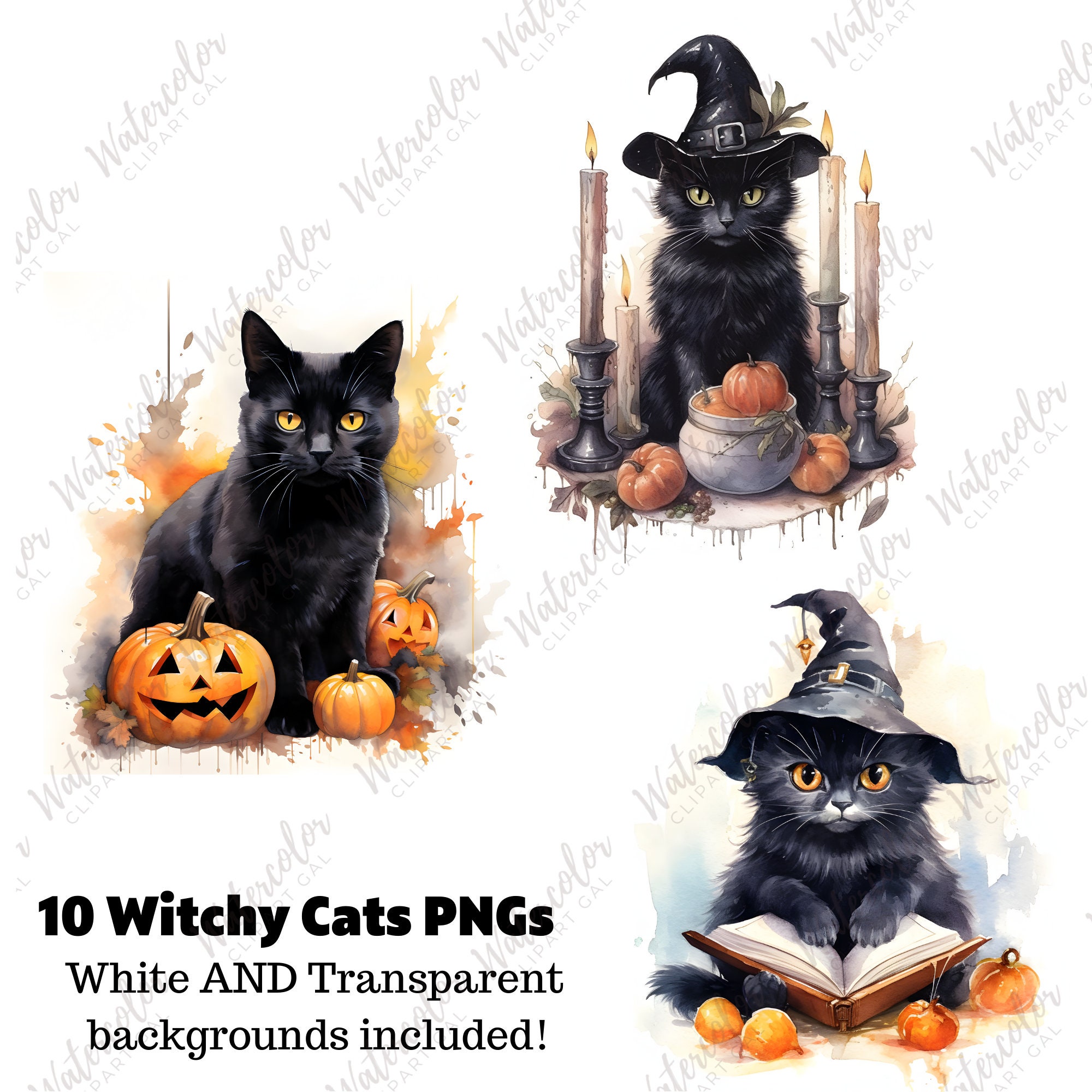 Halloween Witchy Cat Clipart PNG Watercolor Bundle Halloween - Etsy