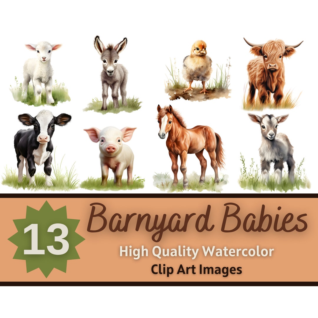 Baby Farm Animals PNG Watercolor Bundle | Baby Farm Animals Clipart ...
