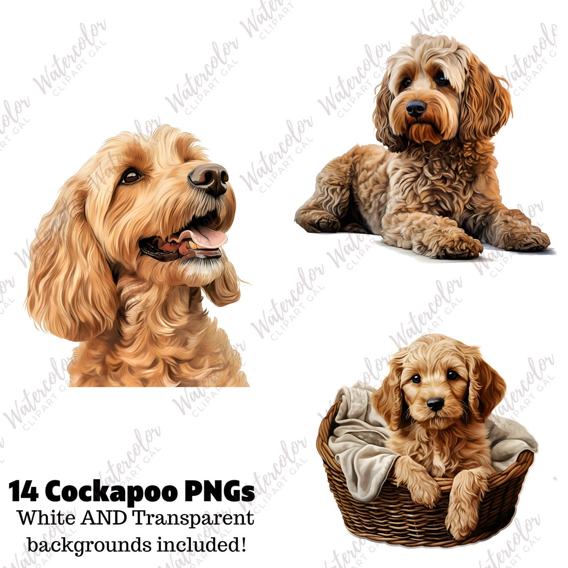 Cockapoo Clipart Watercolor Bundle Dog Portrait Cockapoo PNG Junk ...