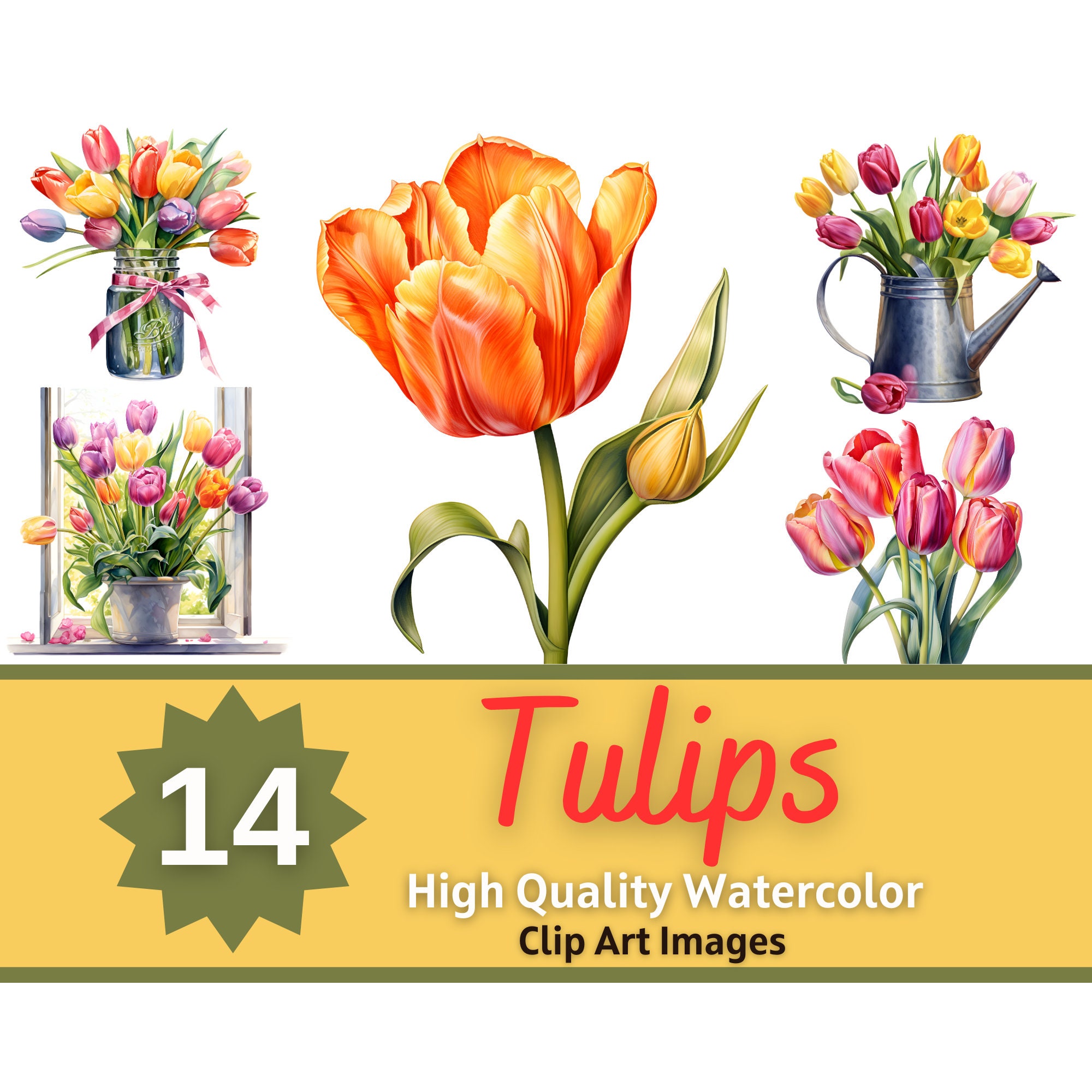 Tulip Clipart PNG Watercolor Bundle Tulip PNG Floral - Etsy