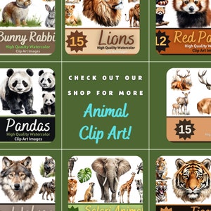 Safari Animal Clipart Watercolor Bundle | Safari Animal PNG | Safari ...