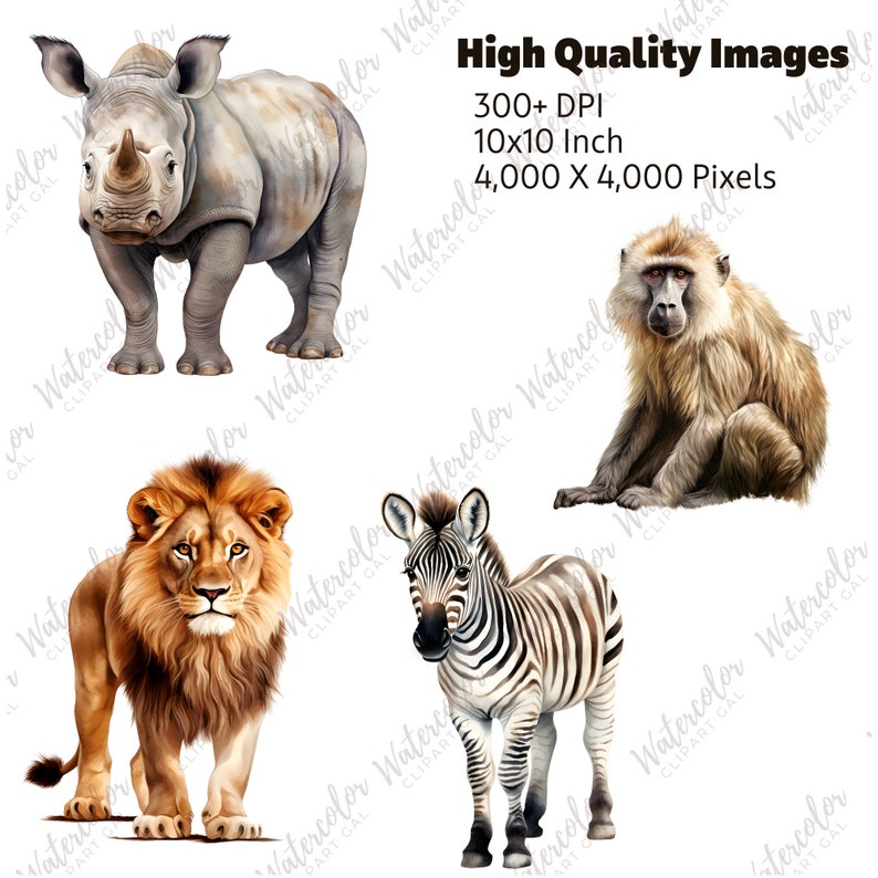 Safari Animal Clipart Watercolor Bundle Safari Animal PNG - Etsy