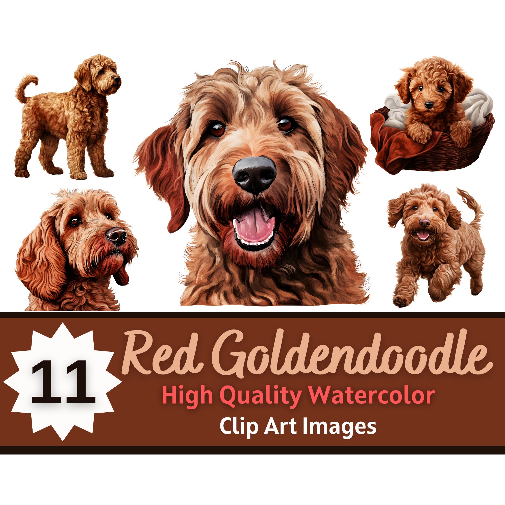 Red Goldendoodle PNG Clipart Watercolor Bundle | Dog Portrait | Golden ...