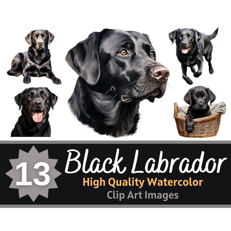 Black Labrador Clipart Watercolor Bundle Dog Portrait Black Lab PNG Dog ...
