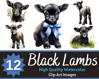 Baby Lamb PNG Clipart Watercolor Bundle Baby Animals Clipart Baby Animal Nursery Cute Animals ...