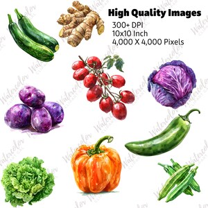 Vegetable Clipart Watercolor Bundle | Vegetable Plant PNG | Food ...
