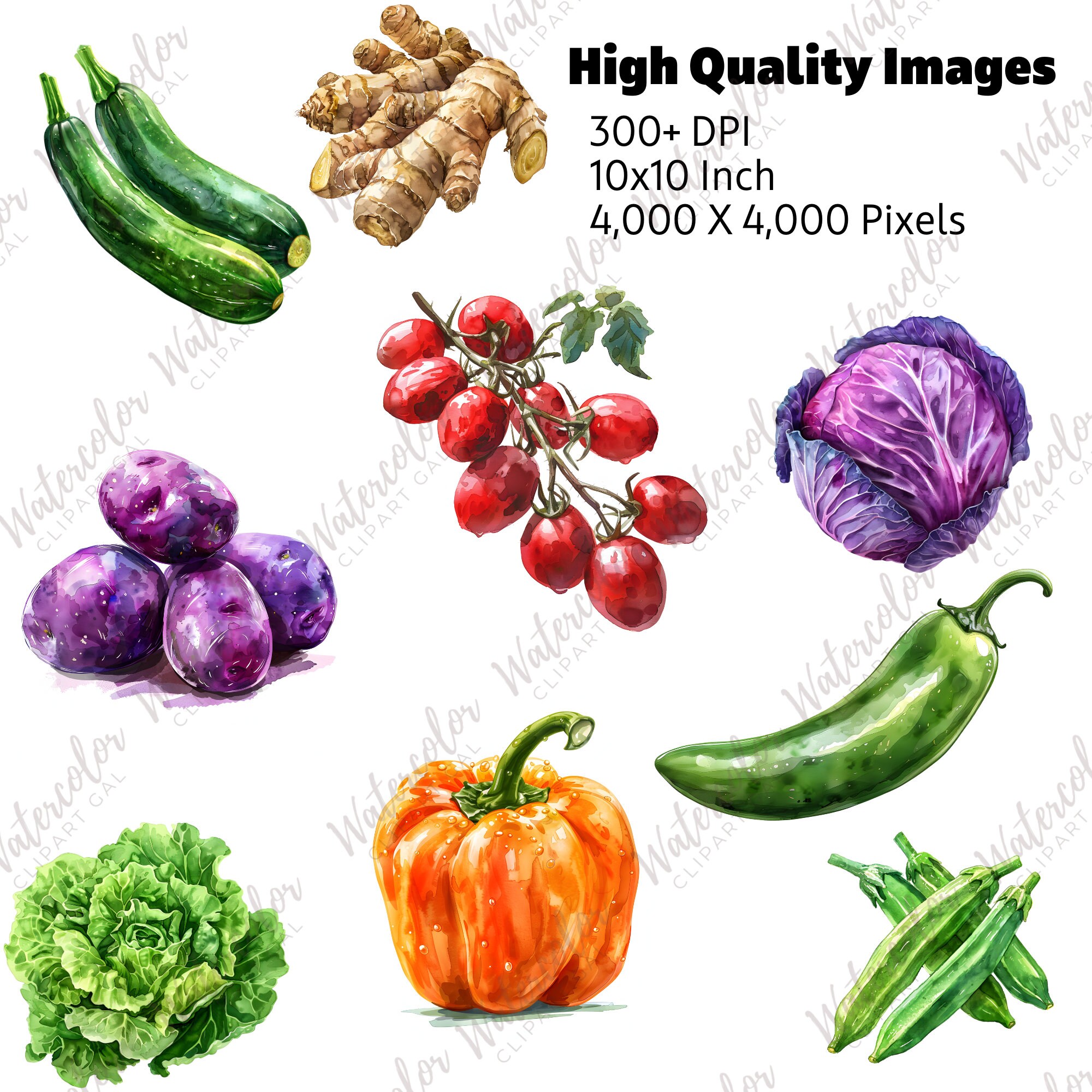 Vegetable Clipart Watercolor Bundle | Vegetable Plant PNG | Food ...