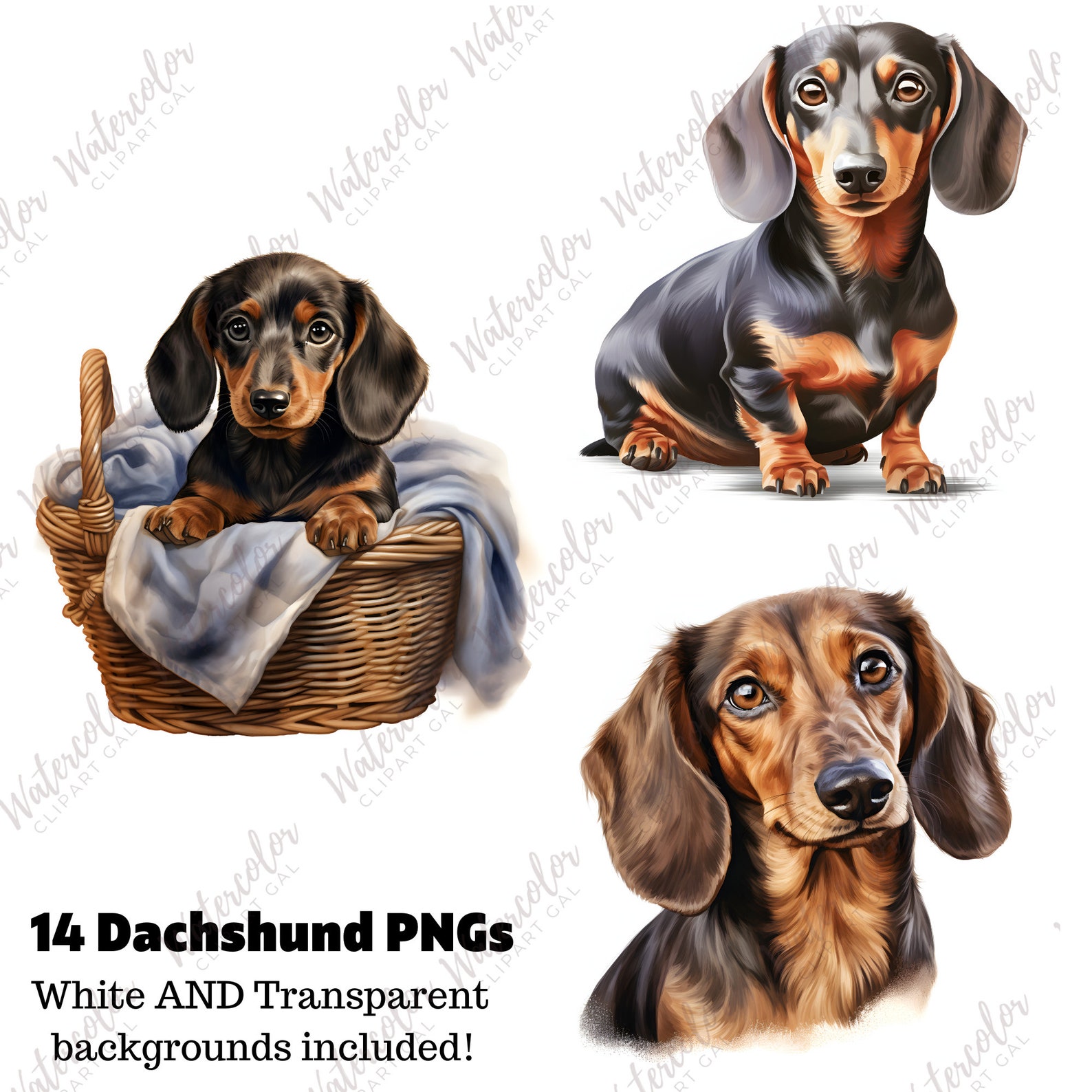 Dachshund Clipart Watercolor Bundle Dog Portrait Wiener Dog PNG Junk ...