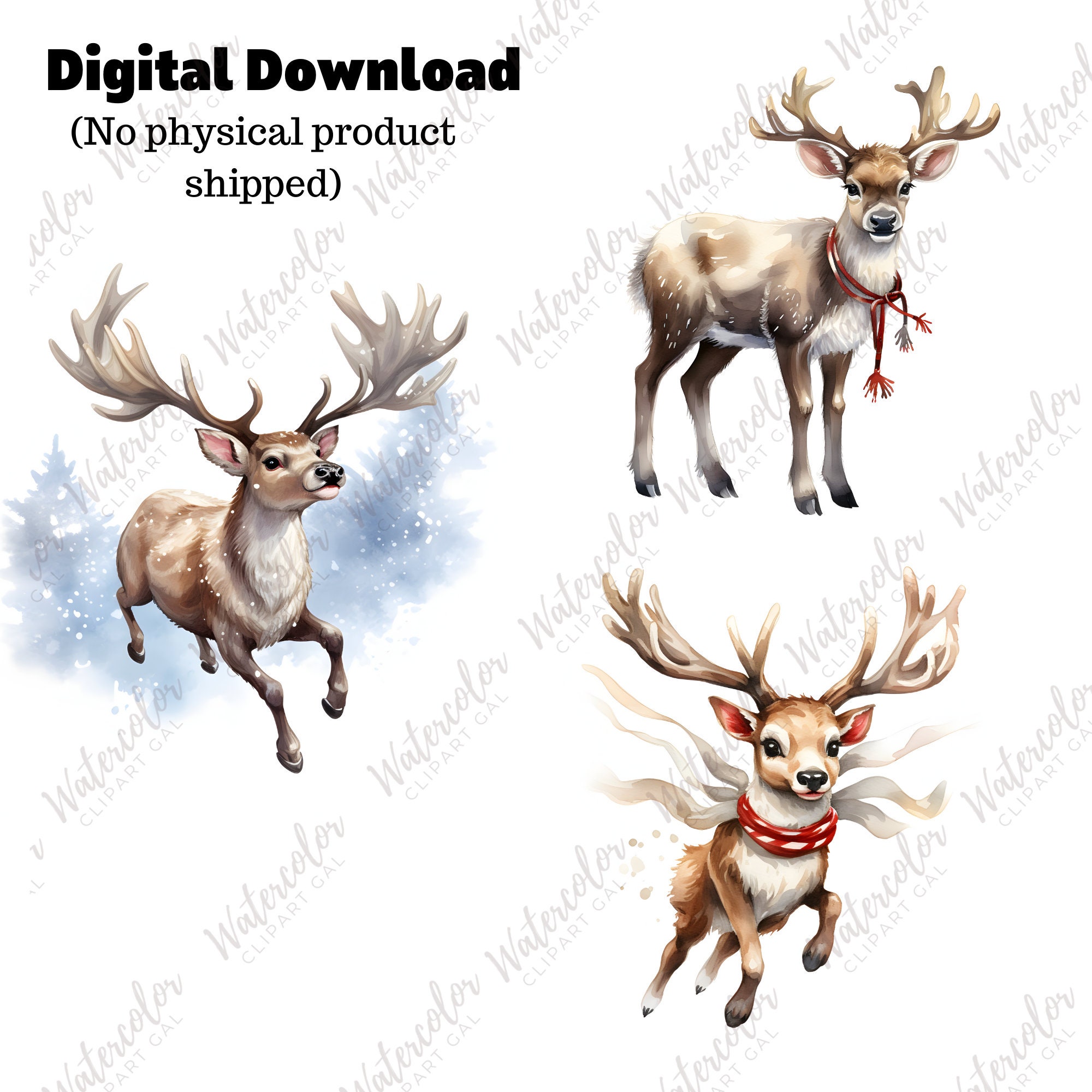 Santa's Reindeer Clipart PNG Watercolor Bundle Christmas Reindeer ...